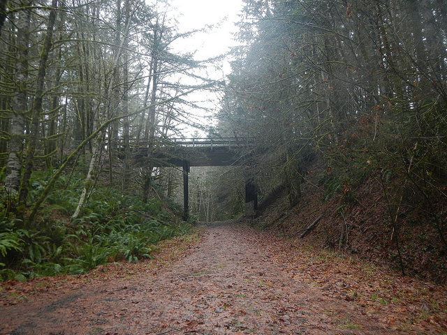 Crown Zellerbach Trail – ON & OFF RHODES